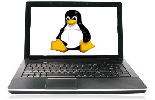 Penguin Pearl Notebook /W GNU & Linux Support | ThinkPenguin.com
