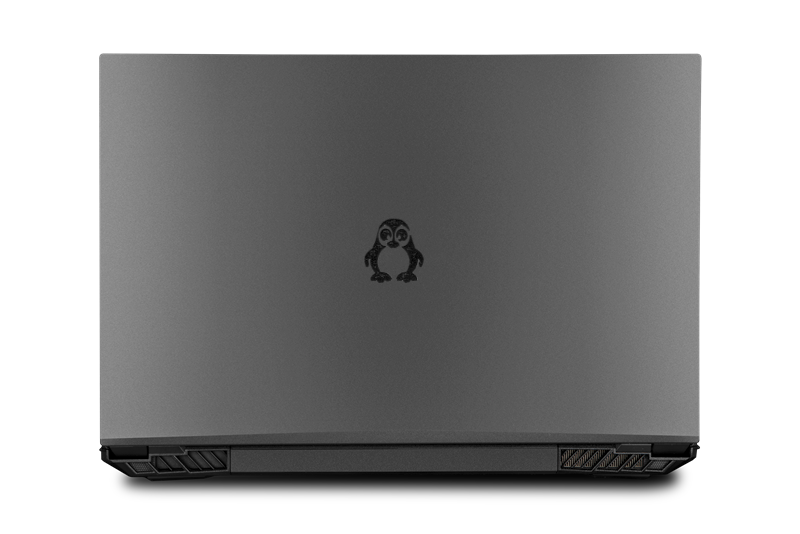 Penguin T2 GNU/Linux Laptop | ThinkPenguin.com