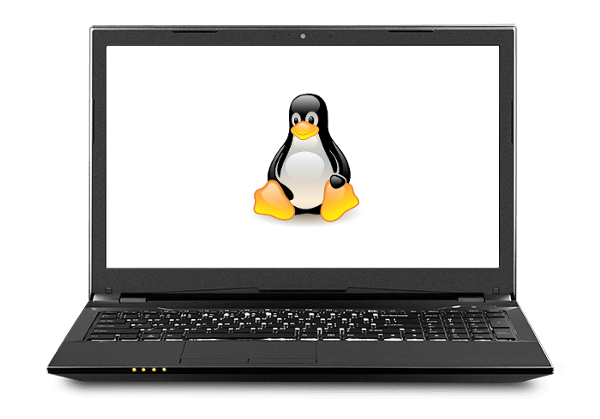Penguin T2 GNU/Linux Laptop | ThinkPenguin.com